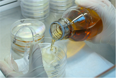 Tecmol Farmaceutica S.A.S. - PORTAL